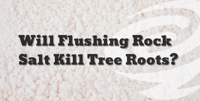 Can You Flush Rock Salt In The Hopes Of Killing Tree Roots?