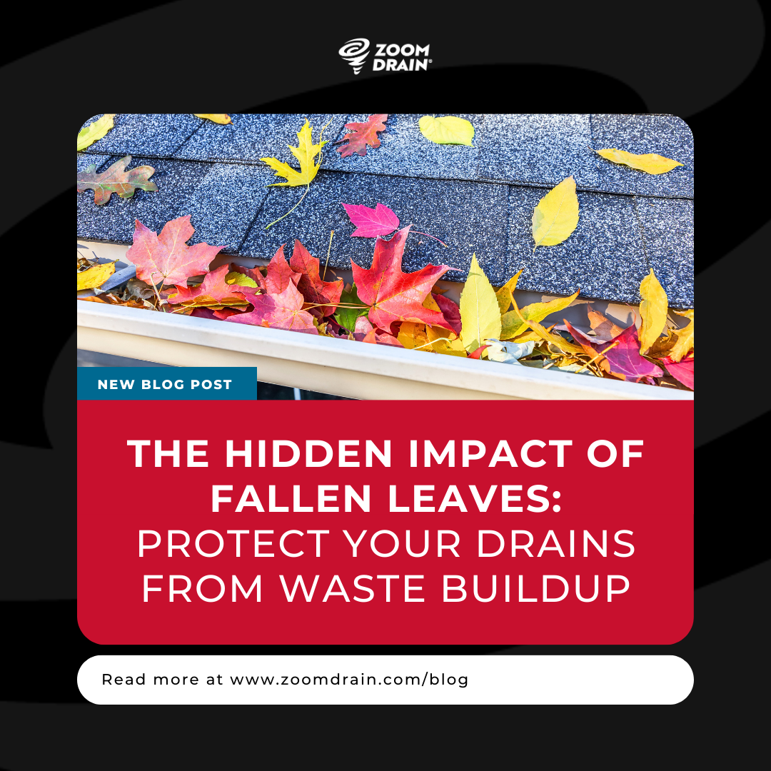Why Fall Drain Cleaning Matters: Protect Your Home and Business with ...