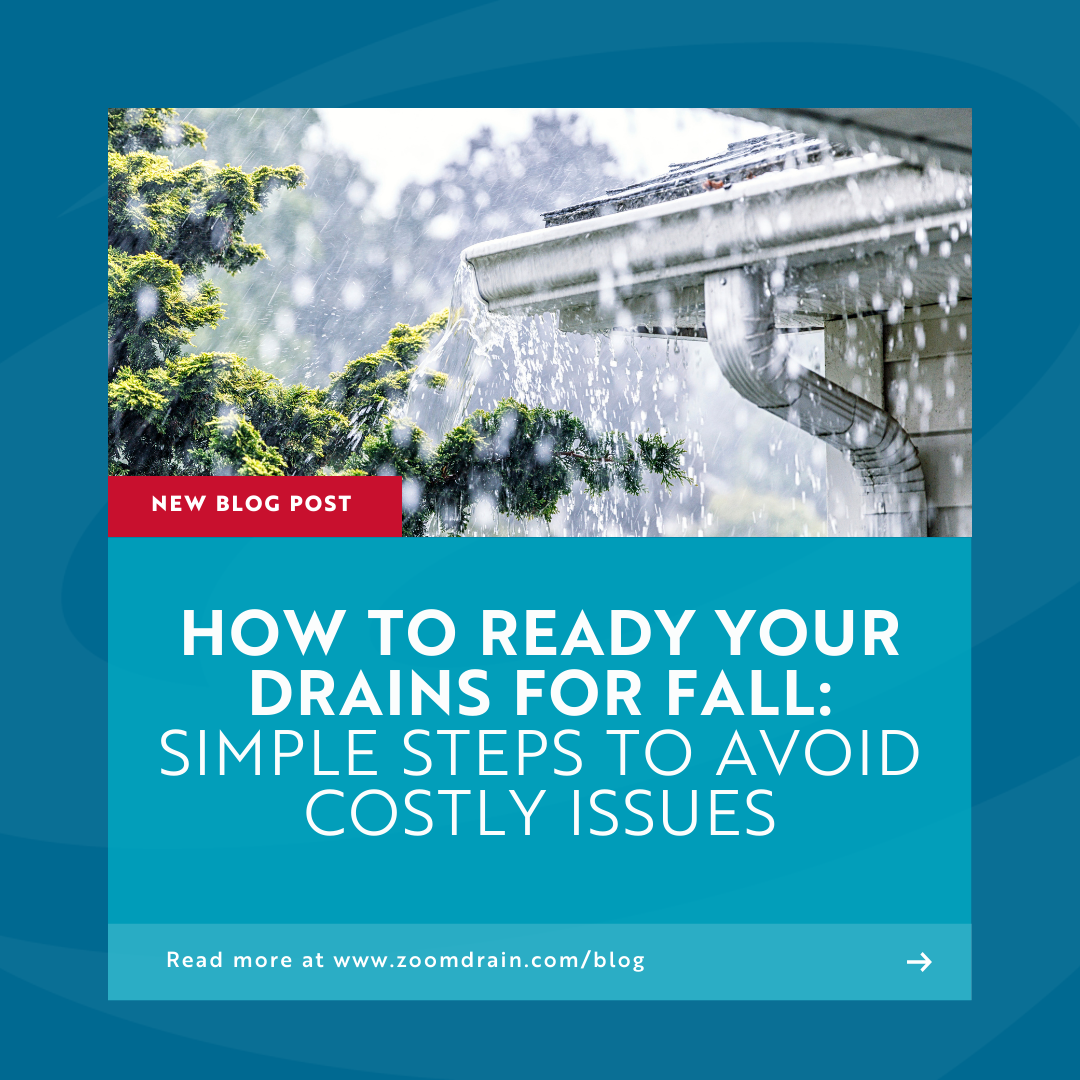Prepare Your Home’s Drains for Autumn Rain | Zoom Drain